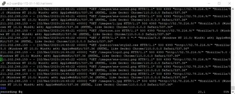 node js nginx not bring the file stack overflow