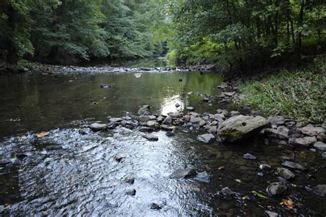 Mighty Macroinvertebrates How To Monitor Stream Health Near You The Field Trip Academy