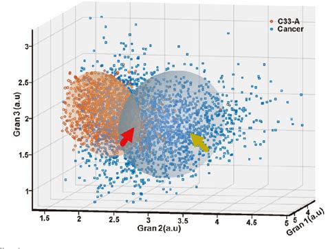 figure 1 from siamese deep learning video flow cytometry for automatic