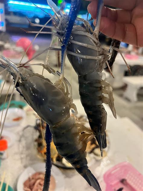 บุุฟเฟ่ต์หม วาสนาหมูกระทะ สาขาข้างโรงพยาบาลซีจีเอชสายไหม