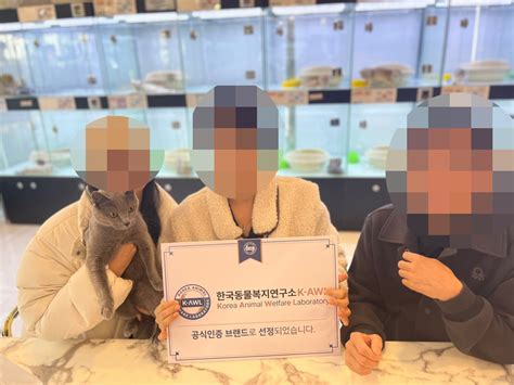 러시안블루 칸쵸 사모예드특징 스피츠특징 시바견특징 시베리안허스키특징 시츄특징 요크셔테리어특징 웰시코기특징 이탈리아그레이하운드특징 치와와특징 코카스파니엘특징 폼스키특징 폼치