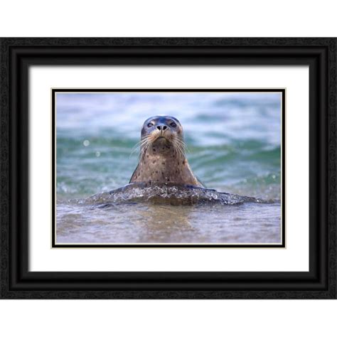 Talbot Frank Christopher 18x13 Black Ornate Wood Framed With Double