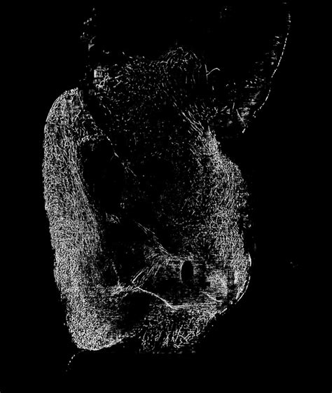 Github Denardolabdeeptrace Deep Learning Based Pipeline For Analysis Of Whole Brain Light