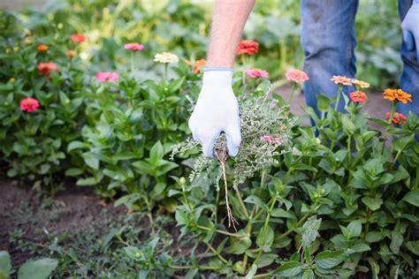 Ways To Avoid The Worst Mulch Mistakes In Your Garden
