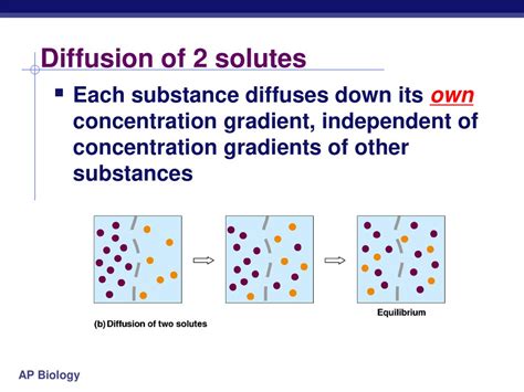 Chapter 8 Movement Across The Cell Membrane Ppt Download
