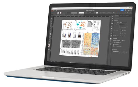 How To Make And Improve Data Visualizations In Illustrator Simplified Science Pro