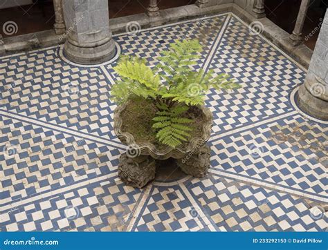 View From Above Of A Male Fern In A Clamshell Planter In Pena Palace In