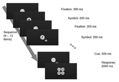 Trial Sequence For The Structure Learning Task Download Scientific