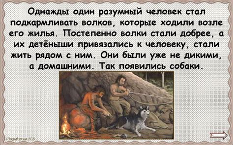 Дикие и домашние животные презентация онлайн