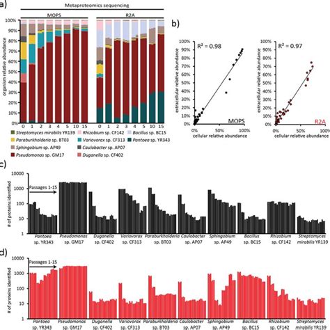 Assessment Of Microbial Population Size A Microbial Community