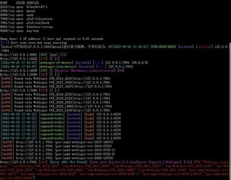 scan4all vuls scan 15000 pocs 21 kinds of application password