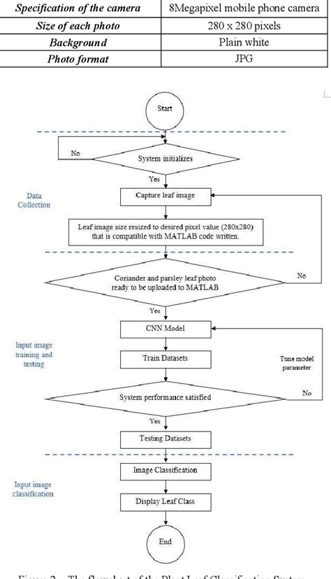 Figure 1 From Plant Leaf Classification Using Convolutional Neural