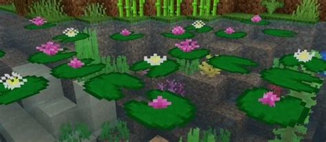 Growing Lily Pads Minecraft Lily Minecraft Vpotk