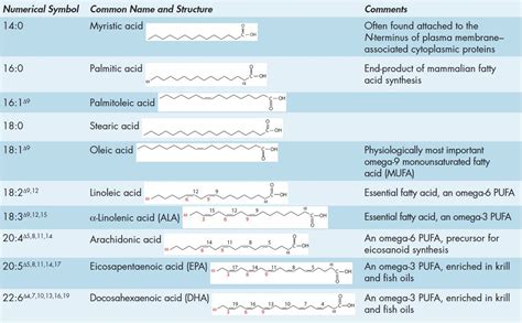 3 Lipids Of Biological Significance Basicmedical Key