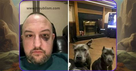 Guardian Angels On Four Legs