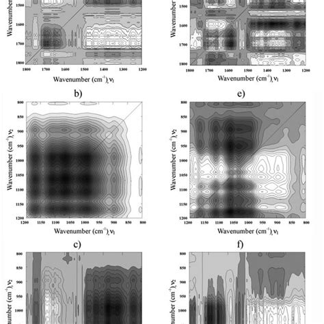 Two Dimensional Ftir Correlation Analysis In The 1800 800 Cm 1 × Download Scientific Diagram