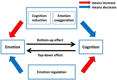 Frontiers Follow The Heart Or The Head The Interactive Influence Model Of Emotion And