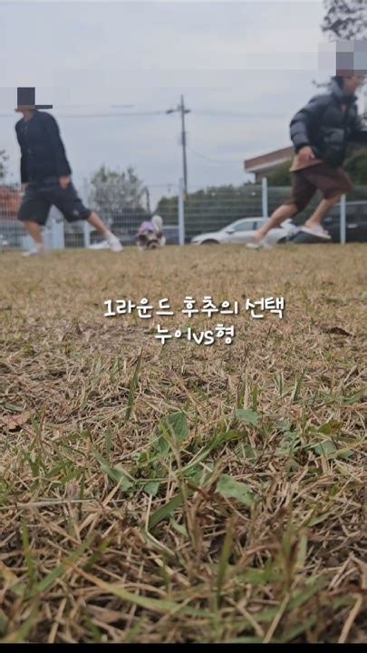 우리집 강아지는 누나vs형 누구를 더 좋아할까 강아지 비바테리어 Shorts Youtube