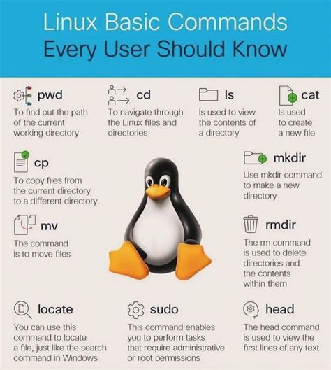 50 Essential Linux Commands For Everyday Use