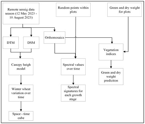 Analyzing Winter Wheat Triticum Aestivum Growth Pattern Using High Spatial Resolution Images