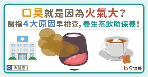 口臭就是因為火氣大？醫指4大原因早檢查，養生茶飲助保養！ 今健康