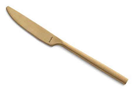 Amefa Manille All You Need 9035 42 Piece Cutlery Set Gold