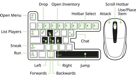 Minecraft Keyboard Controls Hướng Dẫn đầy đủ Phím Tắt Giúp Bạn Chơi