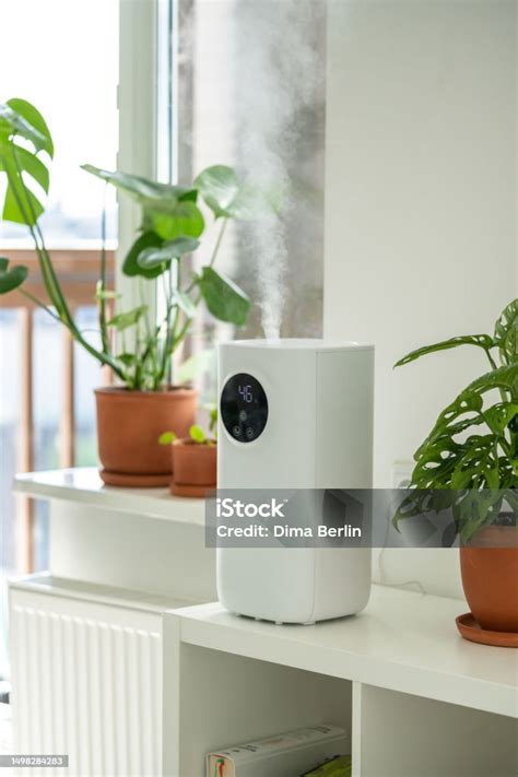 가정의 현대 가습기는 실내 식물로 둘러싸인 건조한 공기를 적시고 있습니다 가습 개념 0명에 대한 스톡 사진 및 기타 이미지 0명 가습기 가정 생활 Istock