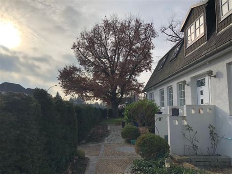 독일 일상 기분 좋은 예감 And 기분 좋은 사람들 네이버 블로그