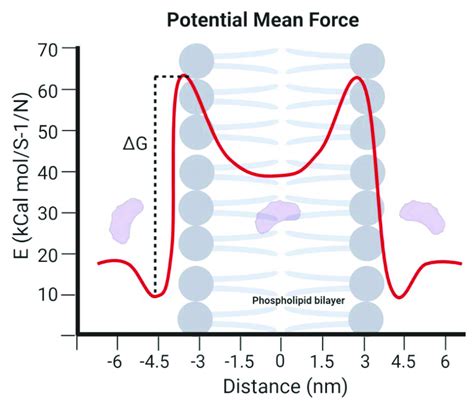 Potential Mean Force Curve Calculated From An Umbrella Sampling