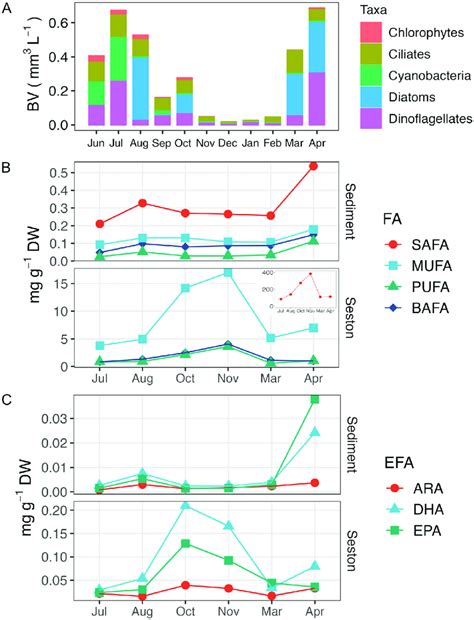 Seasonal Dynamics Of Phytoplankton As Well As Seston And Sediment Fa