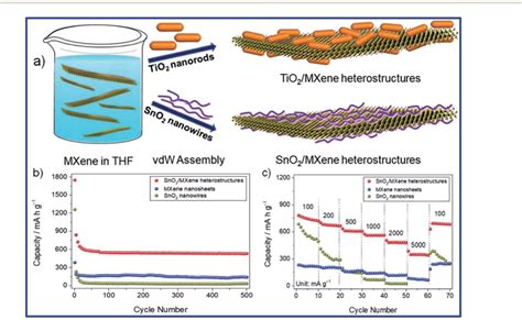 A Scheme Showing The Self Assembly On Mxene Nanosheets