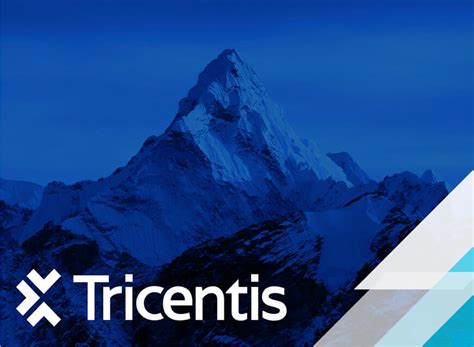Tricentis Tosca Fundamentals − Optimizing Test Automation With Centralized Test Data As2