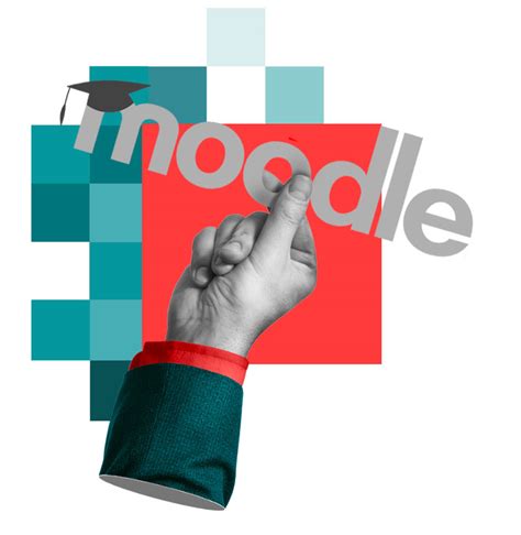 moodle consulting learning solution