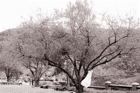 Rodrigo Sack Roberta And Pedro