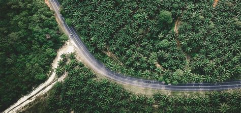 Speaker Diarization Voice Recognition Technology PHONEXIA