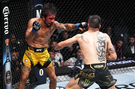 Brandon Moreno Vs Pantoja 3 2025 Claire Gottschalk