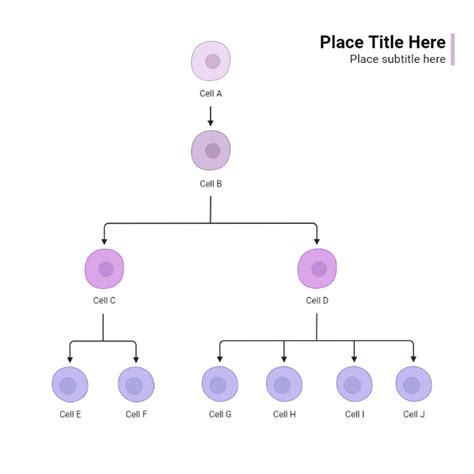 Cell Differentiation Pathway Layout Vertical BioRender Science Templates