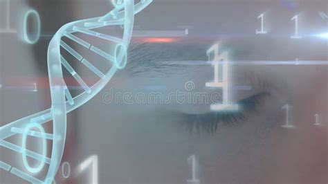 Animation Of Blue Light Spot Spinning Dna Structure And Binary Coding Over Close Up Of A Male