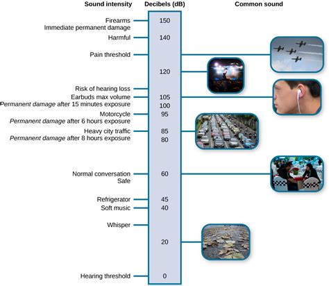 Auditory Sensitivity Function Introduction To Sensation And Perception Auditory Sensitivity Function Introduction To Sensation And Perception