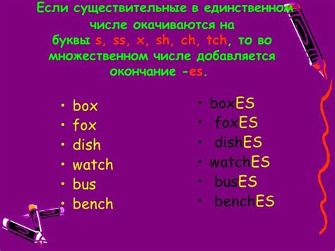 Картинки Множественное Число Существительных В Английском Языке — Фото