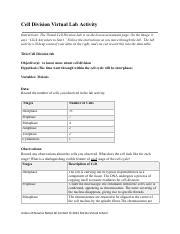 Understanding Cell Division Lab Activity Course Hero