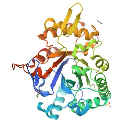 Rcsb Pdb 9ojl Crystal Structure Of Gh18 Chitinase Domain From Vibrio