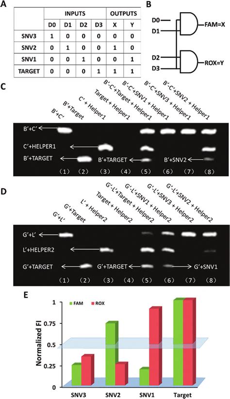 A The Truth Table Of The 4 To 2 Encoder B The Schematic Circuit
