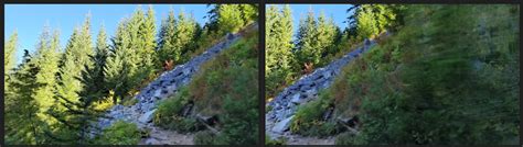 How To Render Novel Views That Deviate From The Training Path · Issue