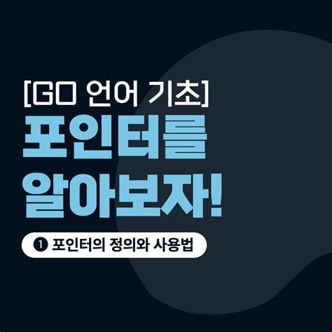 Go 언어 기초 포인터를 알아보자 포인터의 정의와 사용법 골든래빗