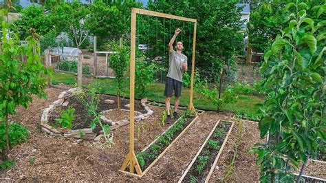 How To Build A Tomato Trellis Using Only One Piece Of Wood Cheap And Easy Backyard Gardening