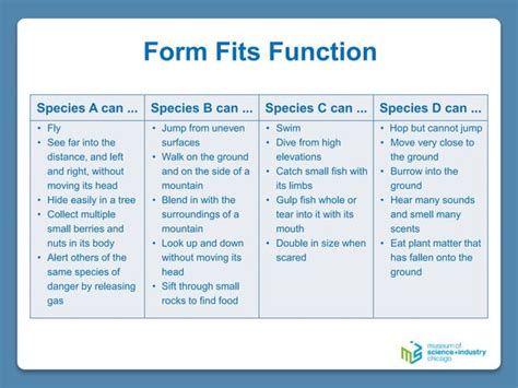 form fits function pptx
