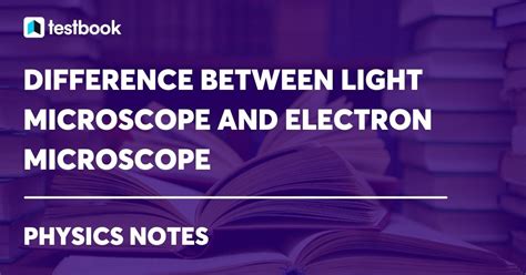 What Are The Main Differences Between Light Microscope And Electron Microscopy