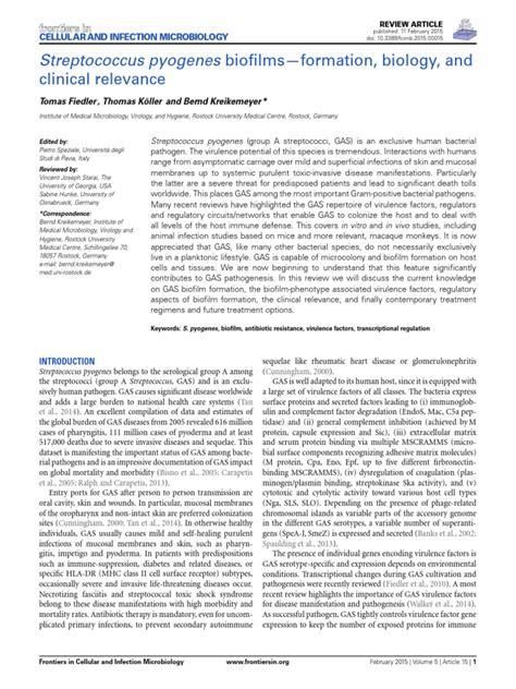 streptococcus pyogenes pdf biofilm streptococcus